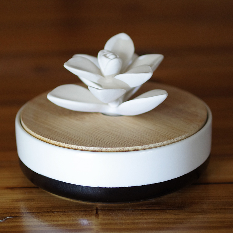 Aroma Reed Diffuser Ceramic Bottle - Buy reed diffuser, aroma reed ...